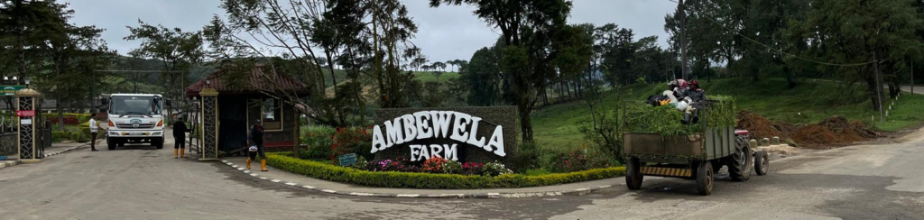 Ambewela Farm: A Scenic Dairy Adventure in Nuwara Eliya, Sri Lanka