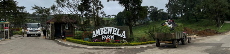 Ambewela Farm: A Scenic Dairy Adventure in Nuwara Eliya, Sri Lanka
